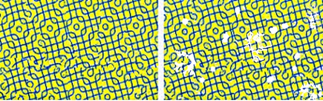 Disastrous effect of Recycled paper – An interesting case study ...